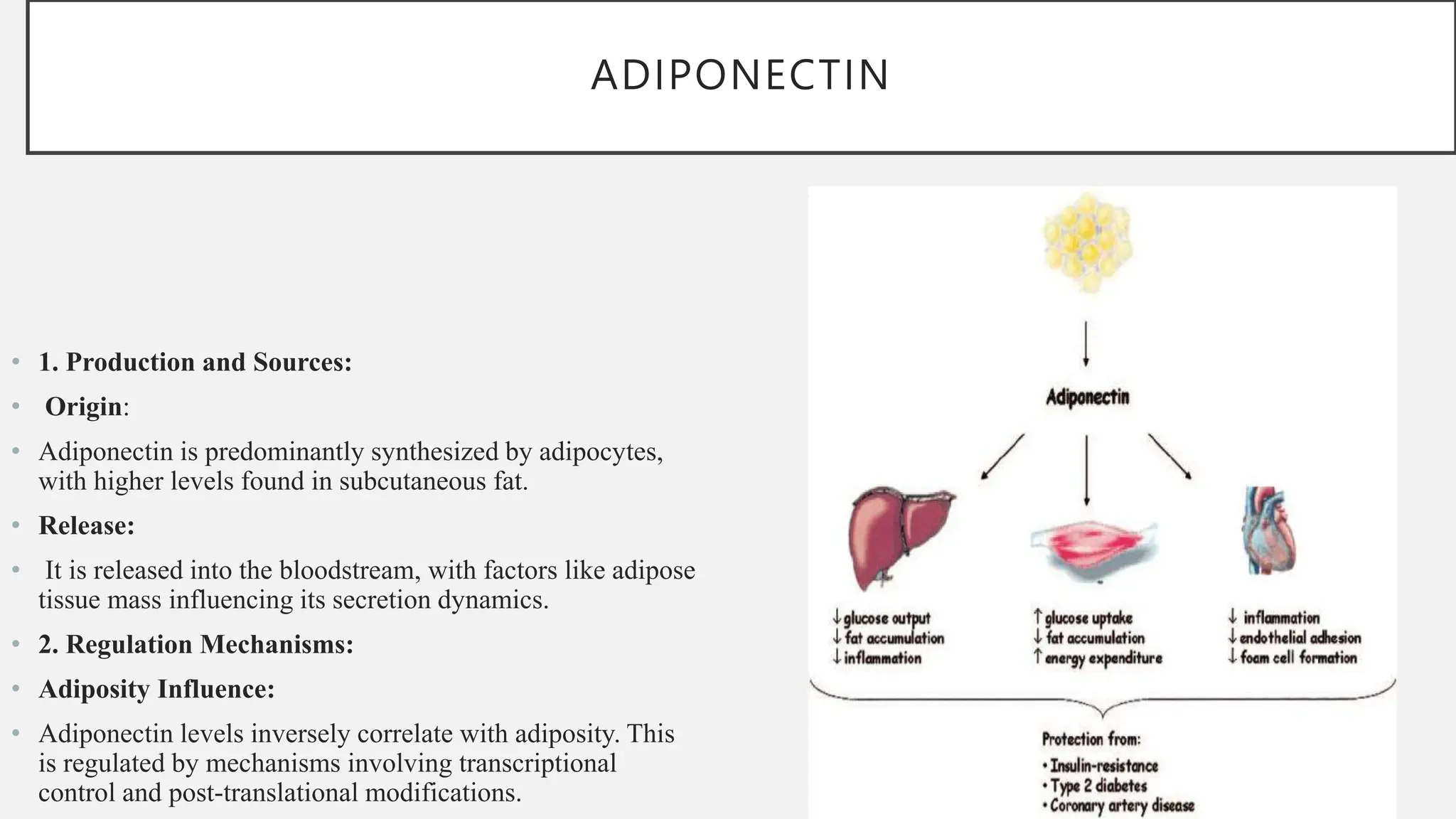 endocrine secretions of Adipose tissue.pptx