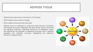 endocrine secretions of Adipose tissue.pptx