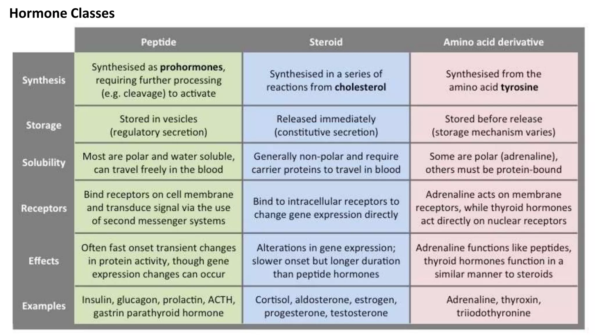 Endocrine Signaling | PPTX | Endocrine and Metabolic Diseases ...