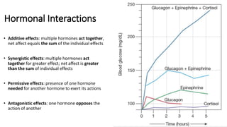 Endocrine Signaling | PPTX
