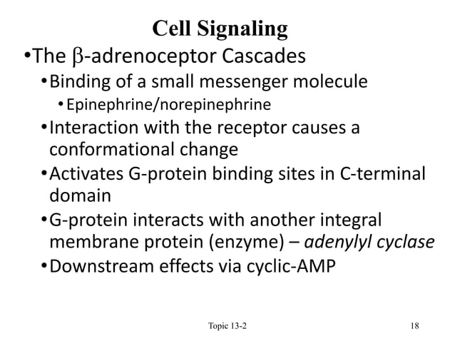 Endocrine Signaling.ppt