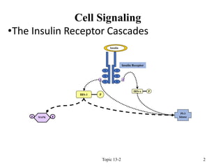 Endocrine Signaling.ppt