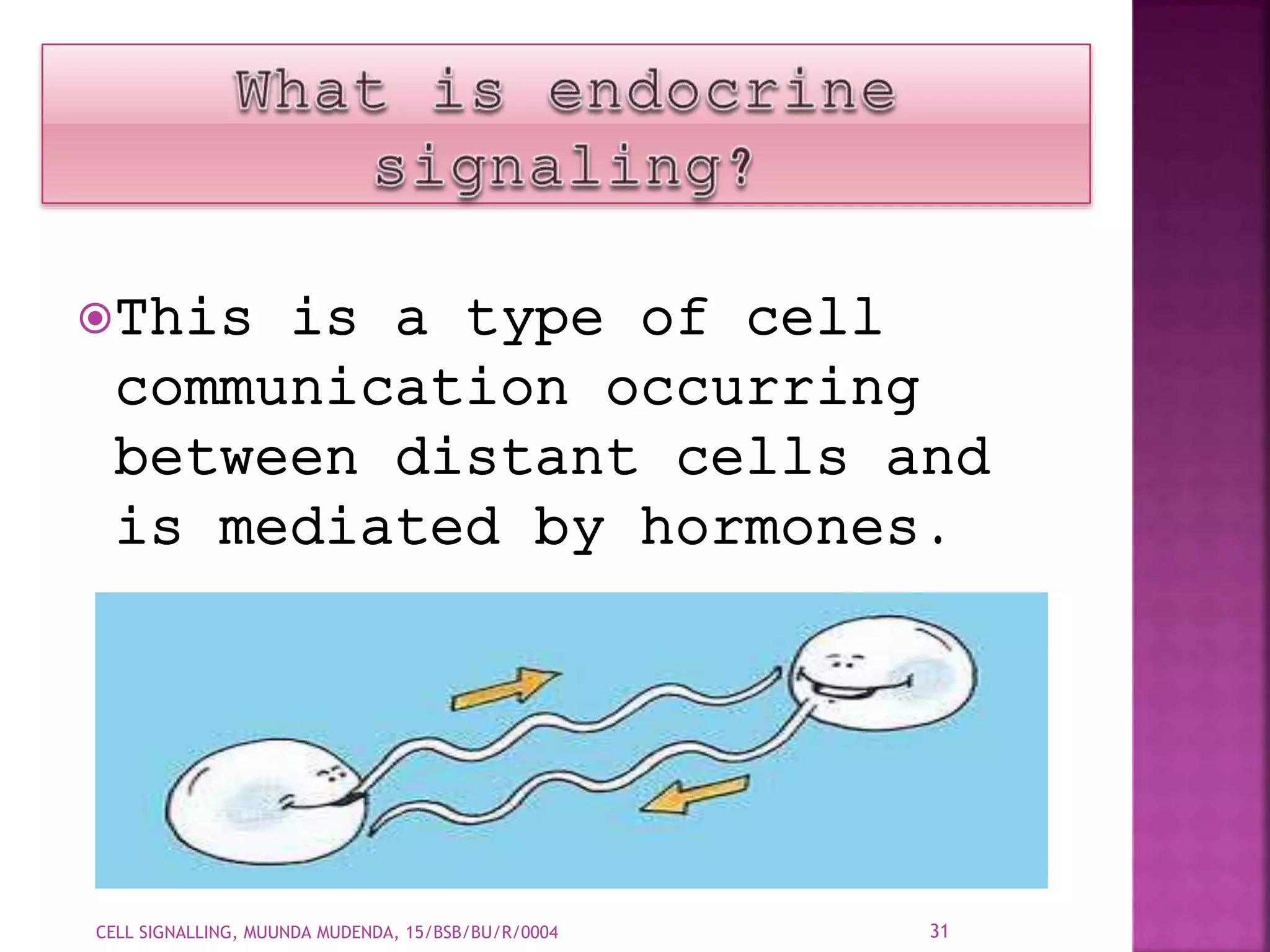 Endocrine signaling - BUGEMA UNIVERSITY | PPT