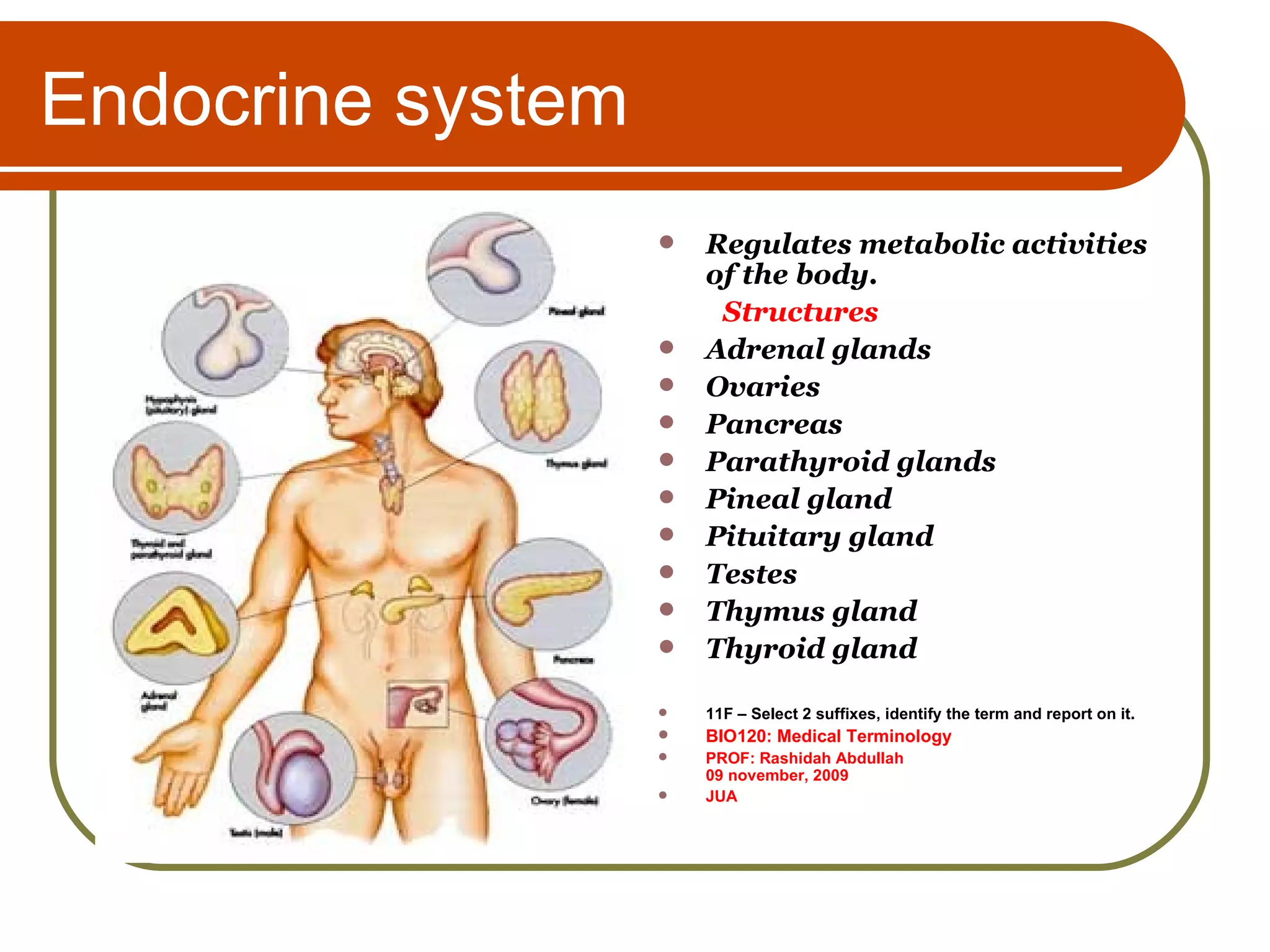 Endocrine Sys. (Hypercalcemia) | PPT