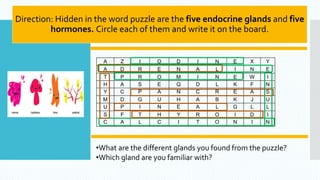 Endocrine system and its glands, functions, location and other ...