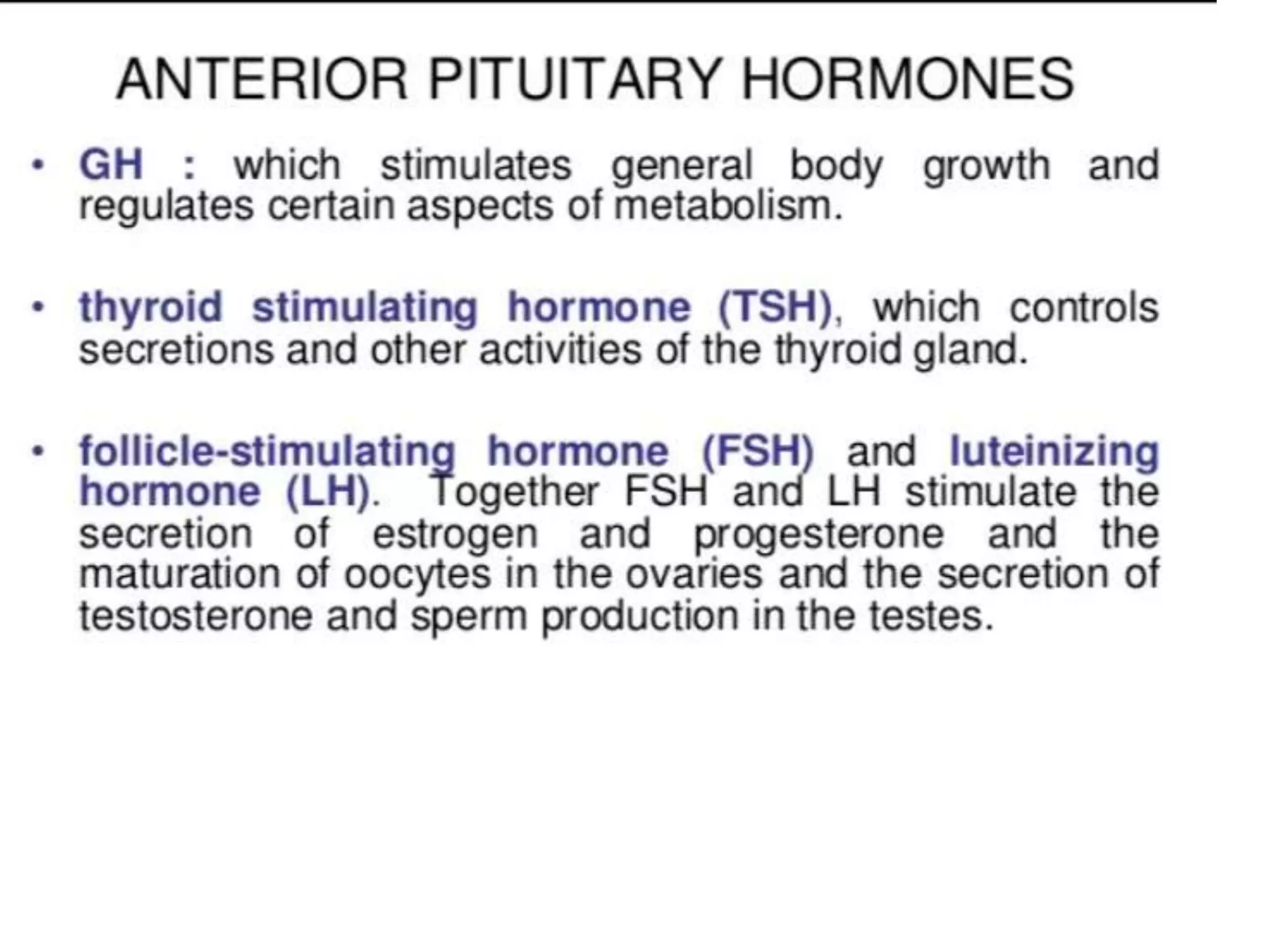 The ENDOCRINE SYSTEM | PPT