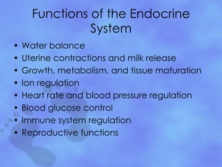 Endocrine System | PPT