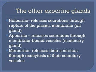 Endocrine System | PPT