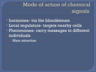 Endocrine System | PPT