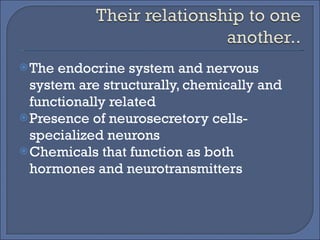 Endocrine System | PPT