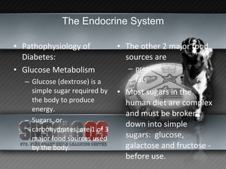 Endocrine System | PPT