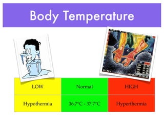 Endocrine system | PPT
