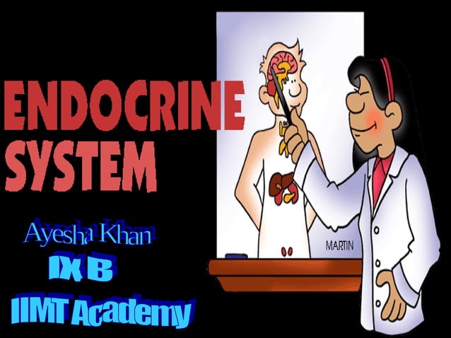 Endocrine System | PPT