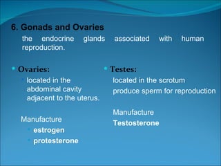 Endocrine system | PPT