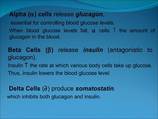 Endocrine system | PPT