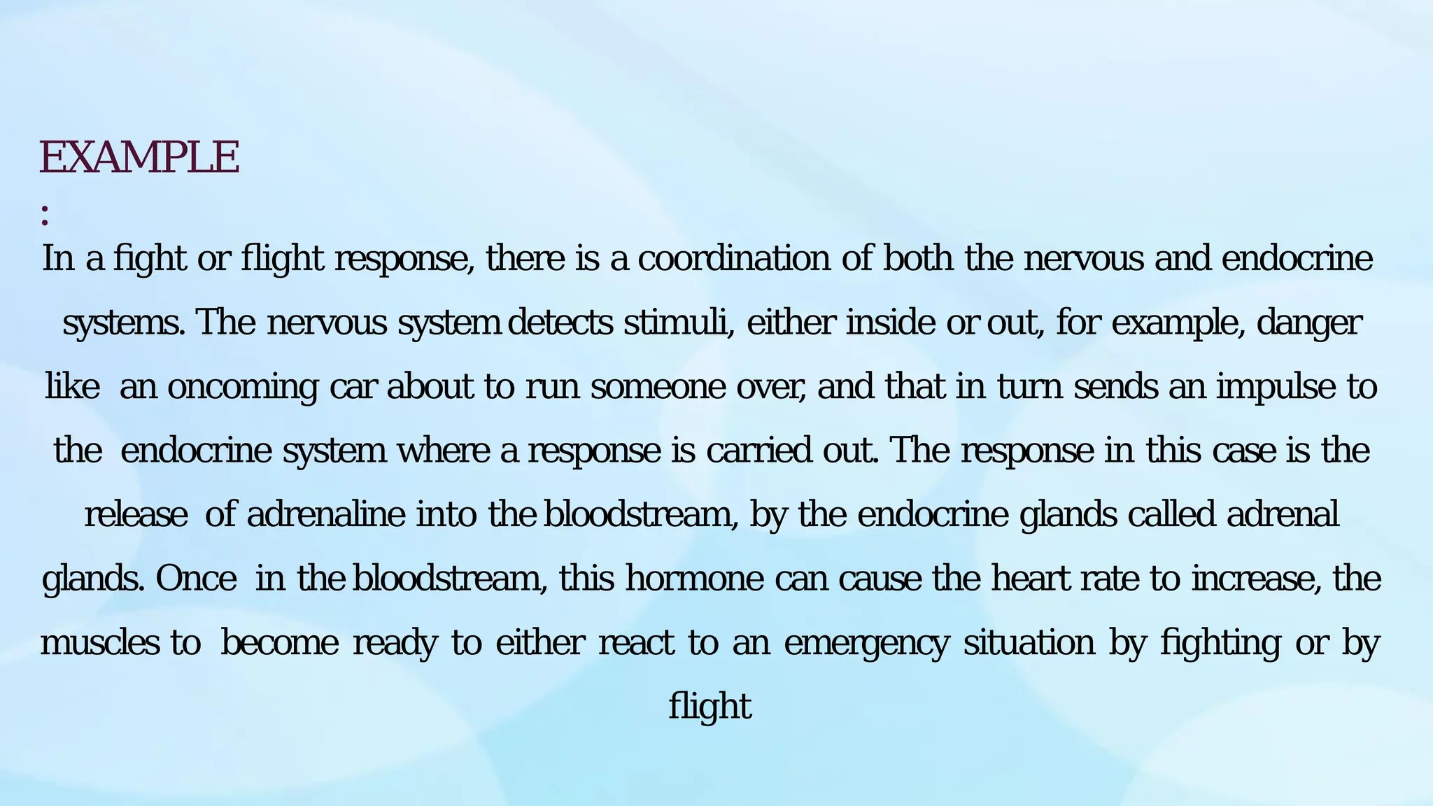 Endocrine System in the human body- presentation | PPTX
