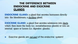 Endocrine System in the human body- presentation | PPTX