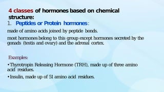 Endocrine System in the human body- presentation | PPTX