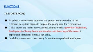 Endocrine System in the human body- presentation | PPTX