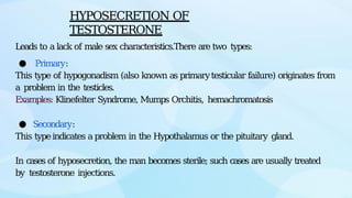 Endocrine System in the human body- presentation | PPTX