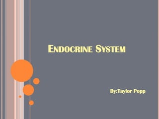 Endocrine system | PPTX