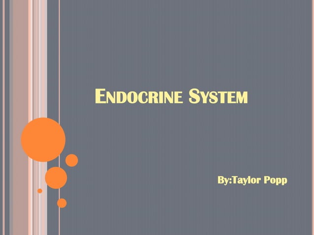 Endocrine system | PPT