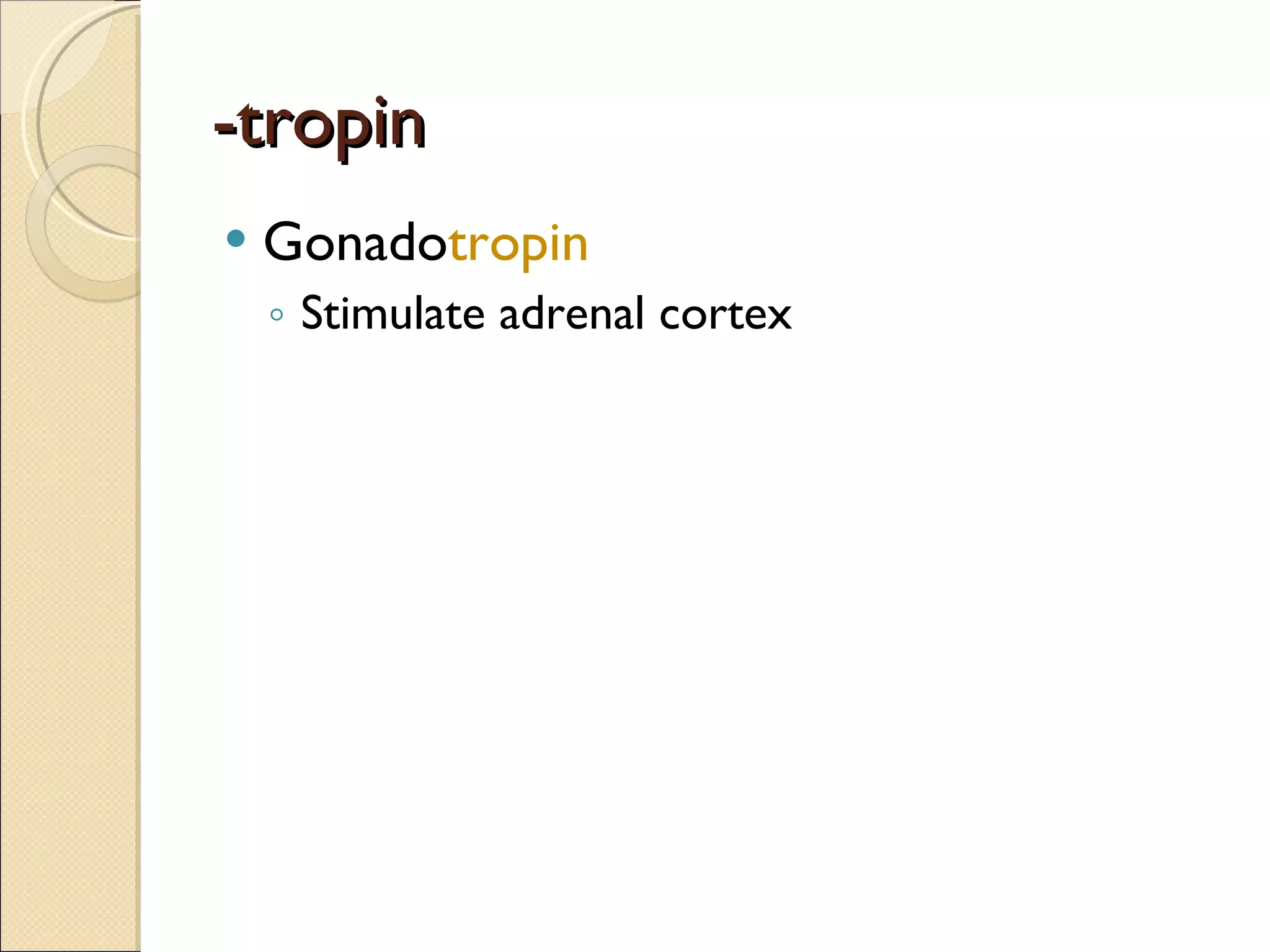 Endocrine system | PPT