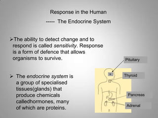 Endocrine system | PPTX | Thyroid Disorders | Endocrine and Metabolic ...
