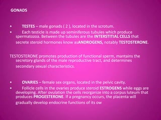 Endocrine system | PPTX