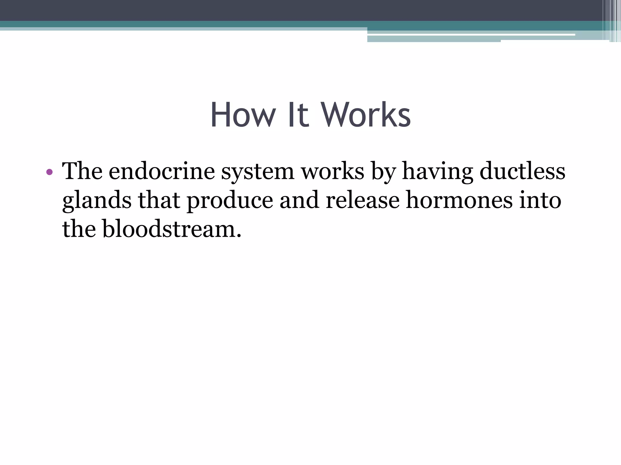 Endocrine System | PPTX