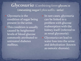 Endocrine system | PPT