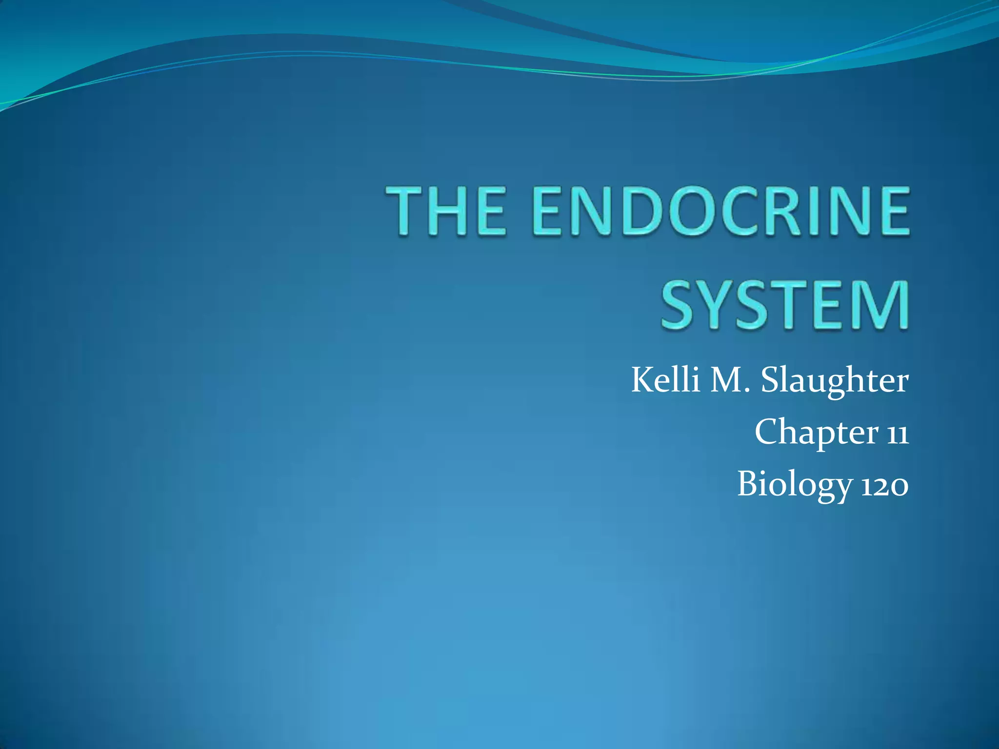 Endocrine system | PPT