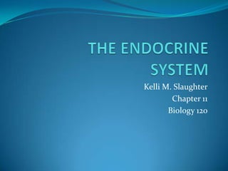 Endocrine system | PPTX