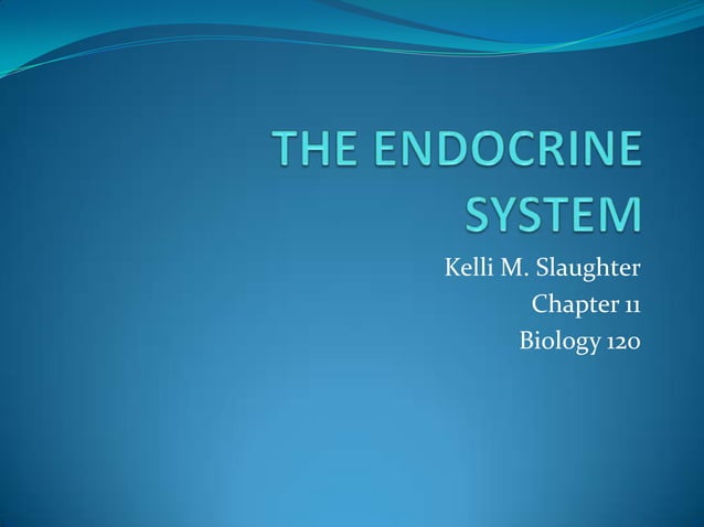 Endocrine system | PPT