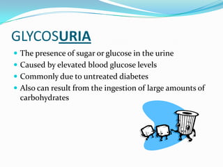 Endocrine system | PPTX