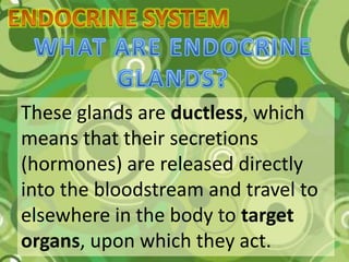 Endocrine system | PPTX