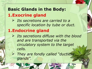 Endocrine System | PDF