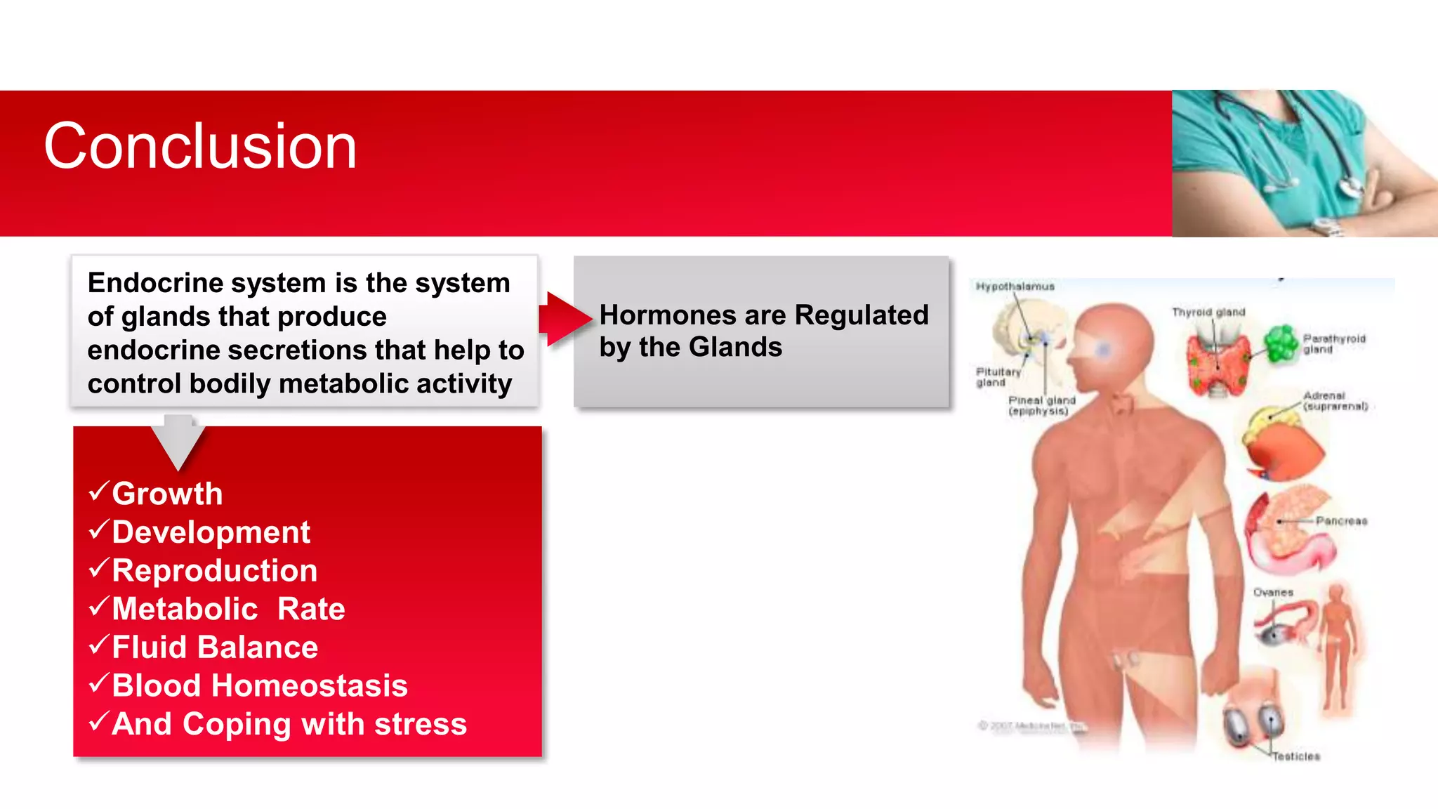 Endocrine System and Endocrine Glands | PPTX | Thyroid Disorders ...