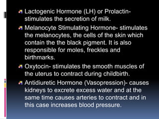 Endocrine system | PPTX