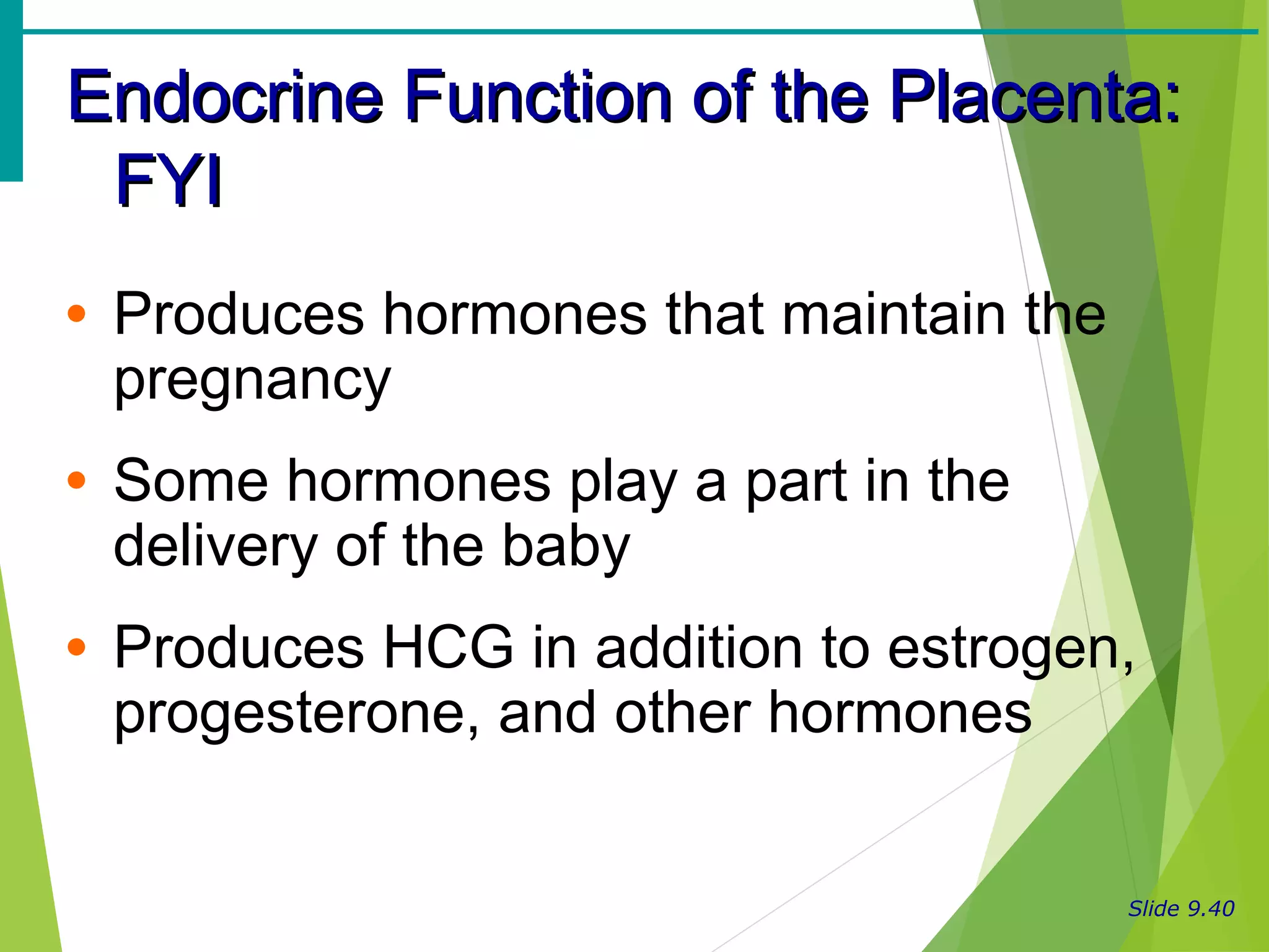 Endocrine system | PPT