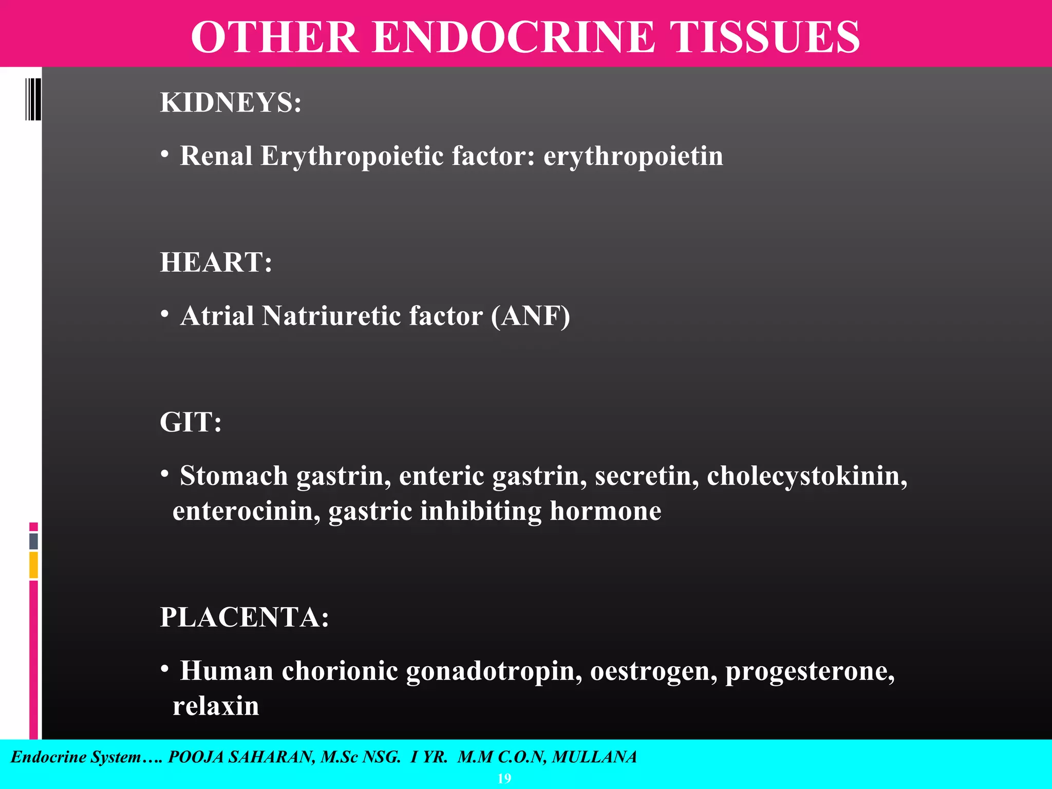 Endocrine system | PPT