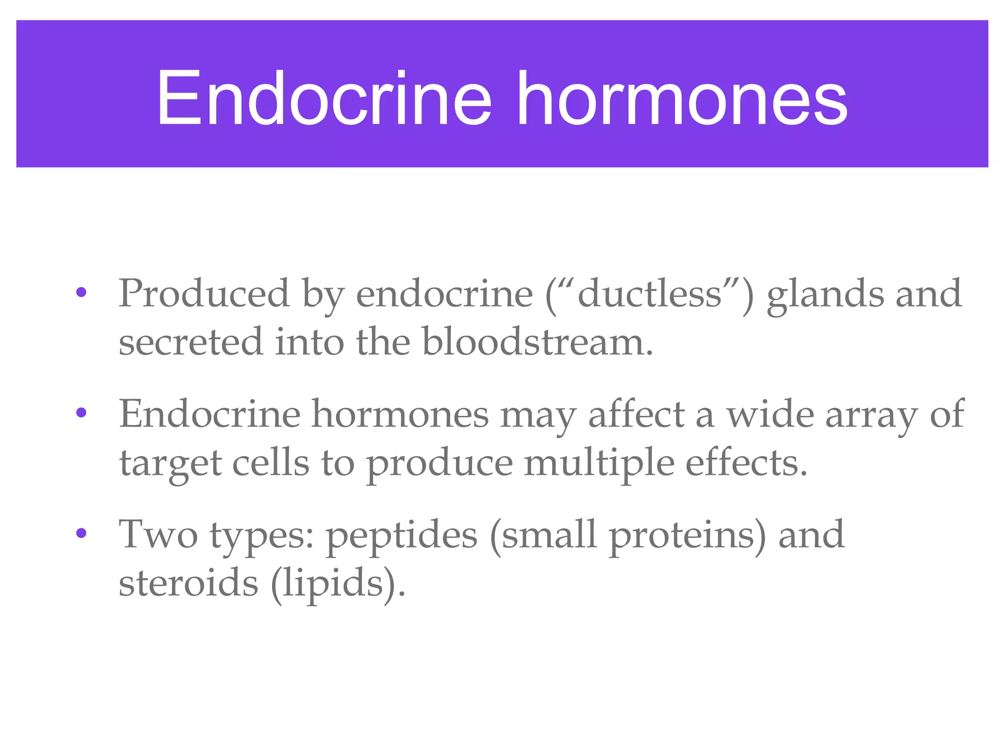 Endocrine system | PPT