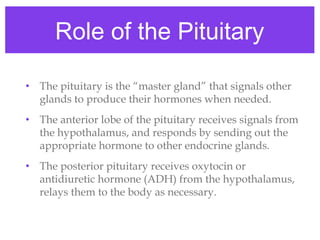 Endocrine system | PPT