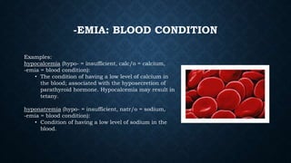 Endocrine system | PPTX | Blood Disorders | Diseases and Conditions