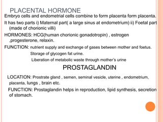 Endocrine system | PPTX