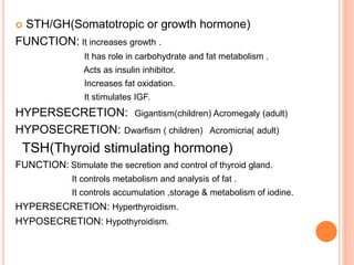 Endocrine system | PPTX