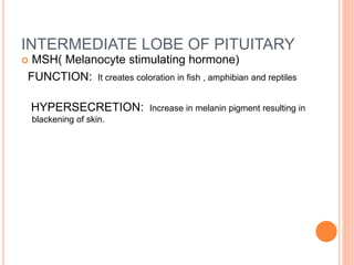 Endocrine system | PPTX