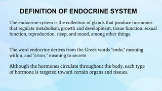 Endocrine System Function Definition