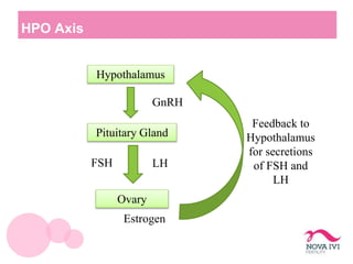 Endocrine system | PPT