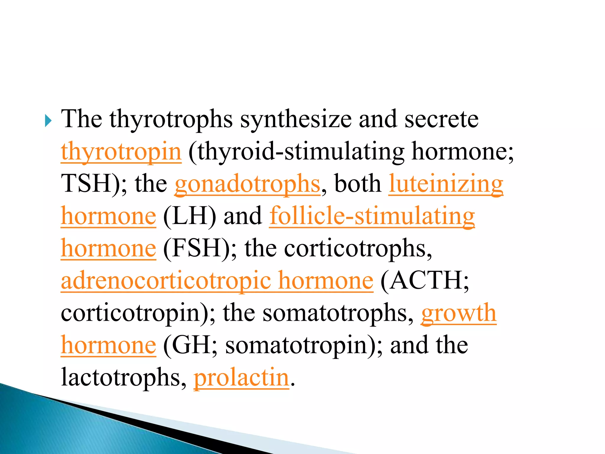Endocrine system | PPTX